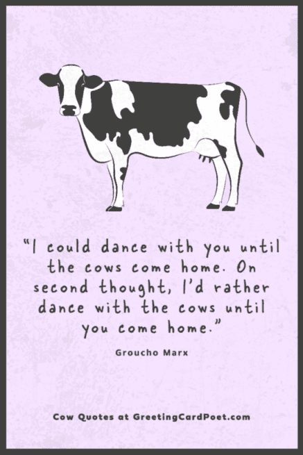 Cute Cow Sayings: Adorable Phrases for Bovine Enthusiasts