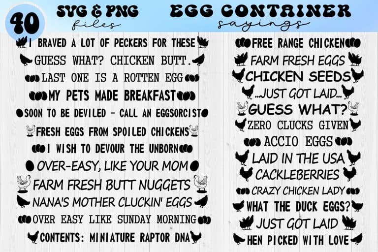 Egg Sayings: Understanding Popular Phrases and Their Origins