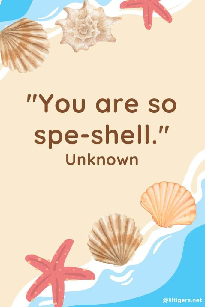 Sea Shell Sayings: Explore the Mystery and Wisdom of the Ocean