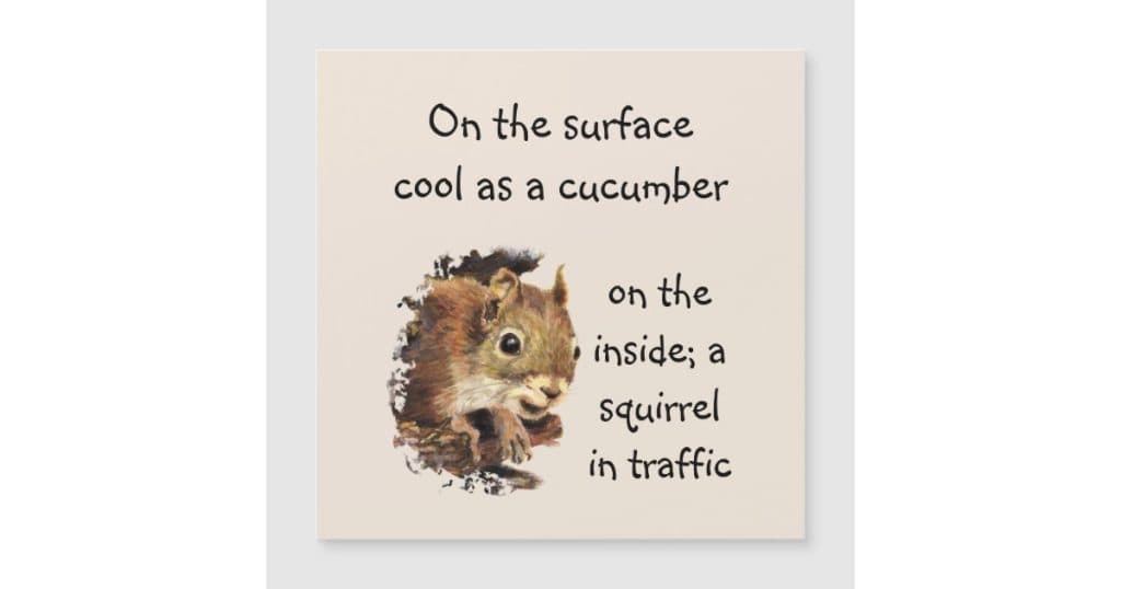 Squirrel Sayings: Explore Popular Quips and Expressions about Squirrels