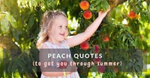 Delightful Peach Quotes and Sayings: Explore the Sweetness of Peaches