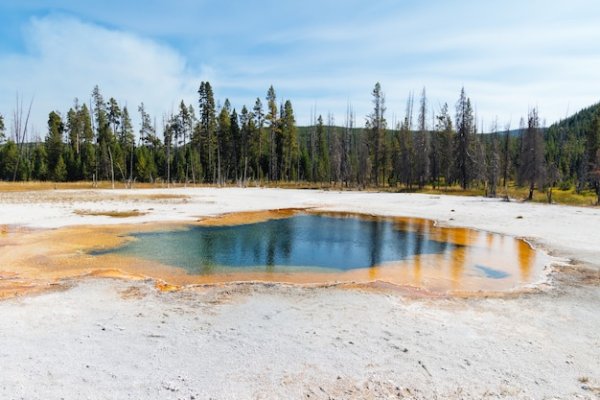 Discover Fascinating Yellowstone National Park Facts You Need to Know