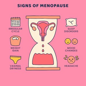 Learn interesting reproductive system facts and how it functions