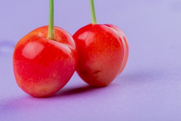 10 Fascinating Cherry Facts You Need to Know