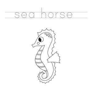 Discover fascinating Seahorse facts for kids