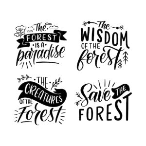 Las mejores frases de victoria para inspirarte y motivarte