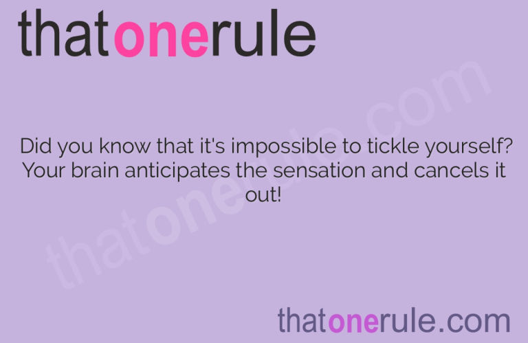 Discover the Funniest Facts of the Day That Will Brighten Your Mood